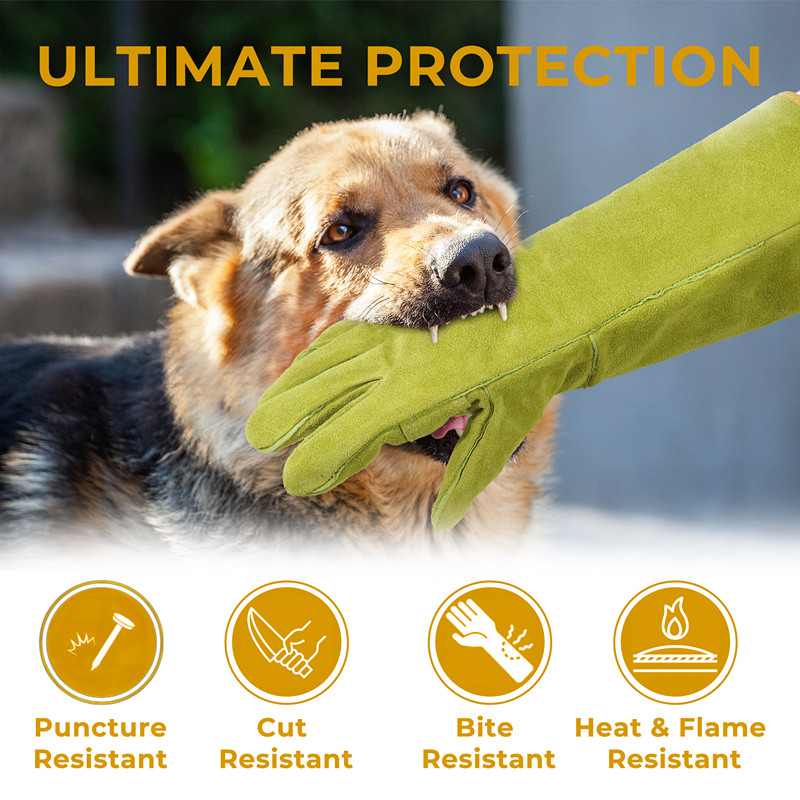 What Gloves Are Used to Prevent Animal Bites? - Prisafetygloves-China ...