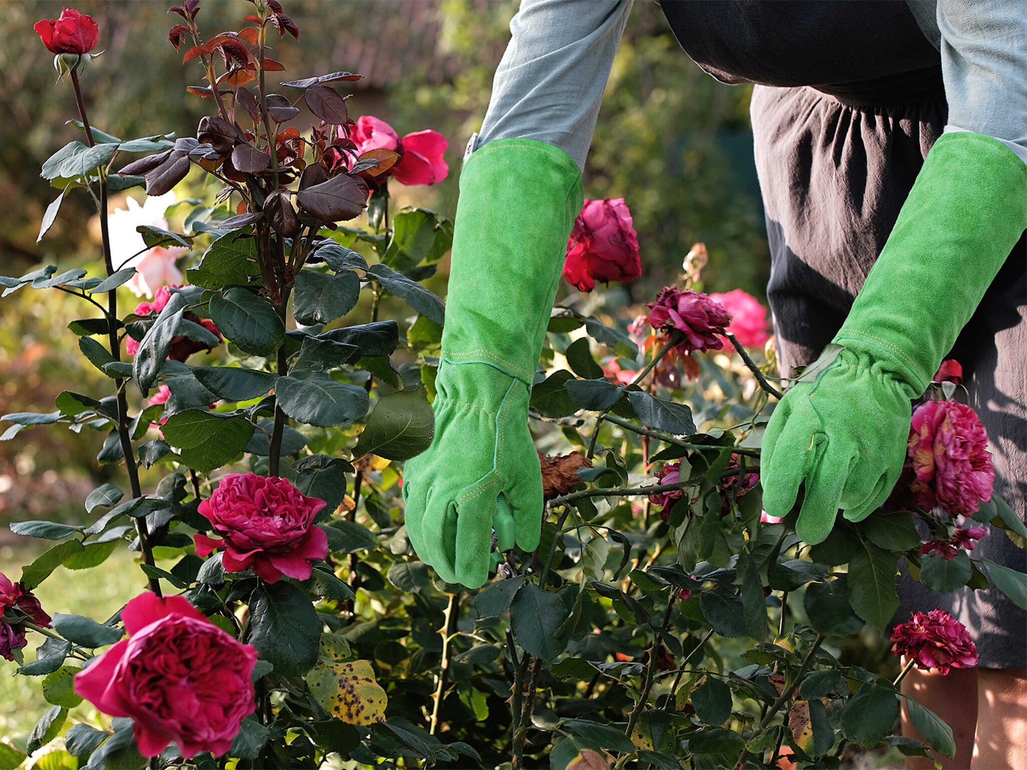 Gardening Glove: Design Features That Matter to Professional Landscapers